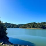 Cossey Massey Loop Track, Auckland, New Zealand - 889 Reviews, Map ...