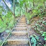 Cossey Massey Loop Track, Auckland, New Zealand - 889 Reviews, Map ...