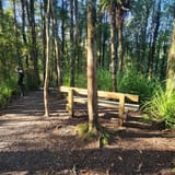 Cossey Massey Loop Track, Auckland, New Zealand - 889 Reviews, Map ...