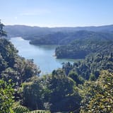 Cossey Massey Loop Track, Auckland, New Zealand - 889 Reviews, Map ...