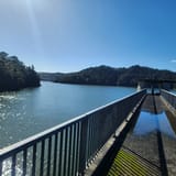 Cossey Massey Loop Track, Auckland, New Zealand - 889 Reviews, Map ...