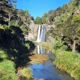 Cossey Massey Loop Track, Auckland, New Zealand - 889 Reviews, Map ...