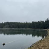 Johnson Lake, Alberta, Canada - 1,773 Reviews, Map | AllTrails