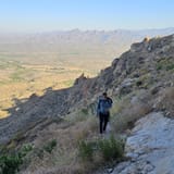 Picketpost Mountain Trail, Arizona - 2,402 Reviews, Map | AllTrails