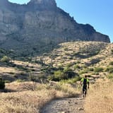 Picketpost Mountain Trail, Arizona - 2,402 Reviews, Map | AllTrails