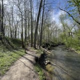 Paul Ruster Trail, Indiana - 235 Reviews, Map | AllTrails