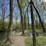 Paul Ruster Trail, Indiana - 235 Reviews, Map | AllTrails