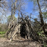 Paul Ruster Trail, Indiana - 235 Reviews, Map | AllTrails