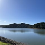 Cossey Massey Loop Track, Auckland, New Zealand - 889 Reviews, Map ...