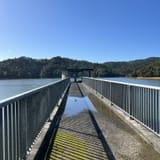 Cossey Massey Loop Track, Auckland, New Zealand - 889 Reviews, Map ...