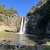 Cossey Massey Loop Track, Auckland, New Zealand - 893 Reviews, Map ...