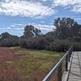 Bibra Lake Loop, Western Australia, Australia - 423 Reviews, Map ...