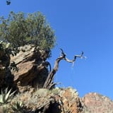 Barnhardt Trail Waterfall, Arizona - 928 Reviews, Map | AllTrails