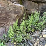 Barnhardt Trail Waterfall, Arizona - 928 Reviews, Map | AllTrails