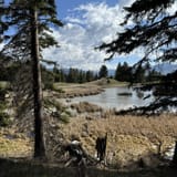 Beaver Ponds Loop Trail, Montana - 1,167 Reviews, Map | AllTrails