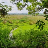 Bembridge and RSPB Brading Marshes Circular, Isle of Wight, England - 6 ...