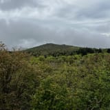 Wilburn Ridge via Appalachian Trail, Virginia - 2,070 Reviews, Map ...
