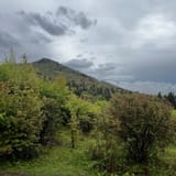 Wilburn Ridge via Appalachian Trail, Virginia - 2,070 Reviews, Map ...