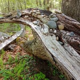 Ryan Park Loop, Rhode Island - 422 Reviews, Map | AllTrails