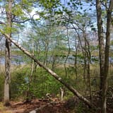 Ryan Park Loop, Rhode Island - 422 Reviews, Map | AllTrails