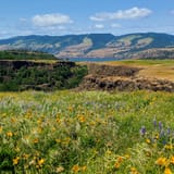 Rowena Plateau Trail, Oregon - 845 Reviews, Map | AllTrails