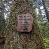 Nooksack Cirque Trail, Washington - 100 Reviews, Map | AllTrails