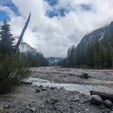Nooksack Cirque Trail, Washington - 100 Reviews, Map | AllTrails