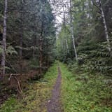 Nooksack Cirque Trail, Washington - 100 Reviews, Map | AllTrails