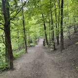 Riverwood Trail, Yellow and Red Trail Loop, Ontario, Canada - 1,299 ...