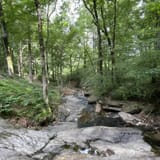 Henderson Park Loop, Georgia - 1,805 Reviews, Map | AllTrails