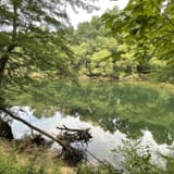 Henderson Park Loop, Georgia - 1,805 Reviews, Map | AllTrails