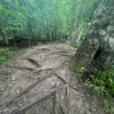 Jones Bridge Trail , Georgia - 2,722 Reviews, Map | AllTrails