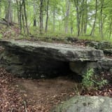 Jones Bridge Trail , Georgia - 2,722 Reviews, Map | AllTrails