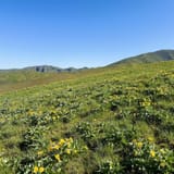 Mount Van Cott, Utah - 506 Reviews, Map | AllTrails