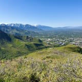 Mount Van Cott, Utah - 506 Reviews, Map | AllTrails