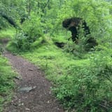 Jones Bridge Trail , Georgia - 2,722 Reviews, Map | AllTrails