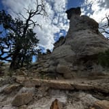 Palmer Park Outer Loop Trail, Colorado - 656 Reviews, Map | AllTrails