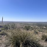Boston Hill Trail, New Mexico - 212 Reviews, Map | AllTrails