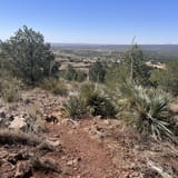 Boston Hill Trail, New Mexico - 212 Reviews, Map | AllTrails