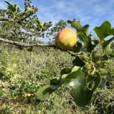 Upper Table Rock Trail, Oregon - 1,740 Reviews, Map | AllTrails