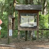 Daubenmire Trail, Florida - 640 Reviews, Map | AllTrails