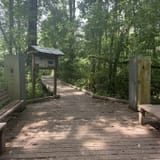 Daubenmire Trail, Florida - 693 Reviews, Map | AllTrails