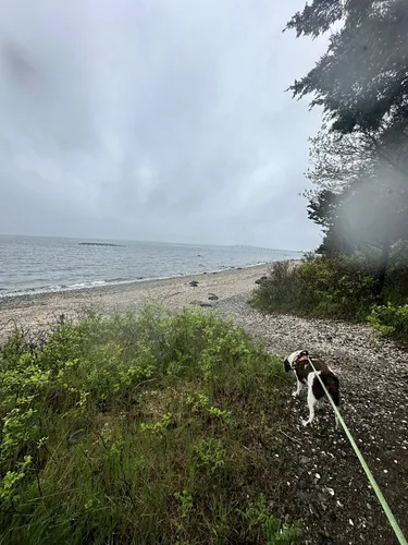 Best Beach Trails in Saunderstown | AllTrails