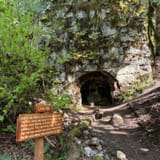 Lime Kiln Trail, Washington - 2,785 Reviews, Map | AllTrails