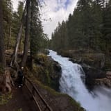 Silver Falls Loop, Washington - 2,843 Reviews, Map | AllTrails