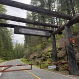 Silver Falls Loop, Washington - 2,843 Reviews, Map | AllTrails