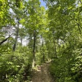 Edward's Point Trail, Tennessee - 2,567 Reviews, Map | AllTrails