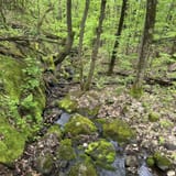 Rock Dunder, Ontario, Canada - 1,170 Reviews, Map | AllTrails