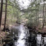 Solitaire Lake Loop, Ontario, Canada - 848 Reviews, Map | AllTrails