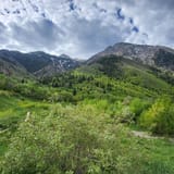 Neff's Canyon Loop, Utah - 2,542 Reviews, Map | AllTrails